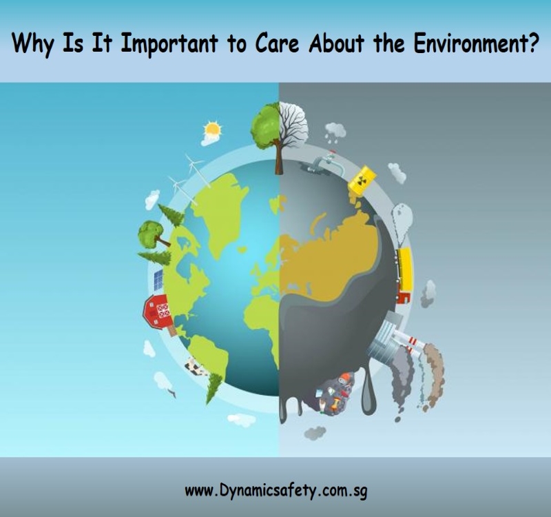 Why is it important to care about the environment? – killerinsideme.com Why is it important to care about the environment? – killerinsideme.com